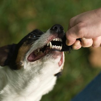 Vijf slimme tips om meer uit je vaststellingsovereenkomst te halen